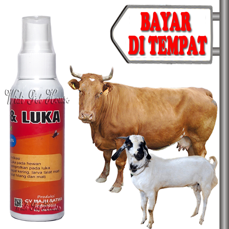 Obat Luka Sapi Kerbau Kambing Domba Infeksi Kulit Anti Lalat Semprot ...