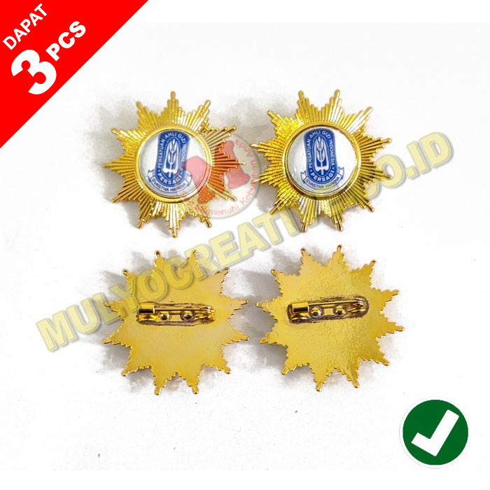 Bros Logo Persatuan Ahli Gizi Indonesia Model Matahari - Pin Persagi ...