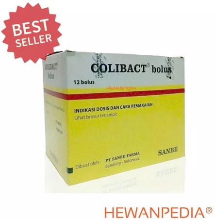 COLIBACT 12 BOLUS 1 Box HEWANPEDIA - Obat Antibakteri Hewan Ternak ...