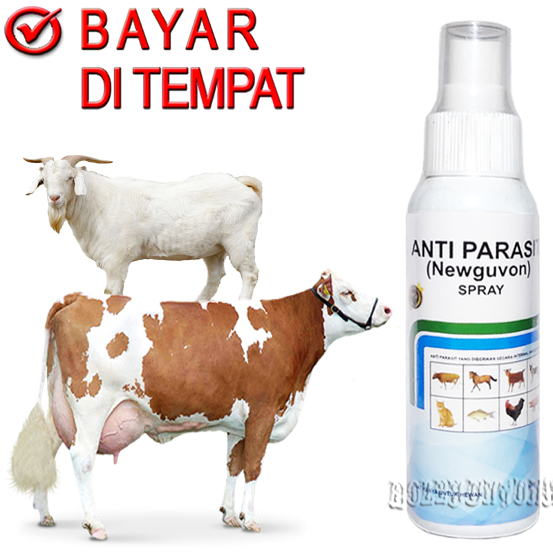 Newguvon Obat Kutu Sapi Kambing Kerbau Domba Kuda Anti Parasit Tungau ...