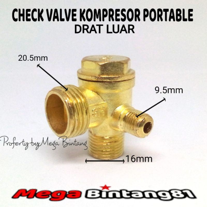 Check valve kompresor check otomatis savety valve DRAT LUAR | Lazada ...