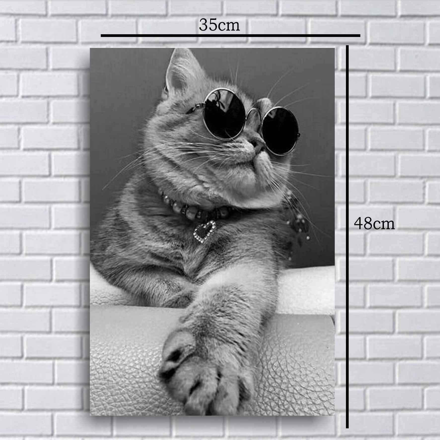 POSTER KUCING CAT / FOTO KUCING CAT / POSTER ANIMAL FAUNA / HIASAN ...