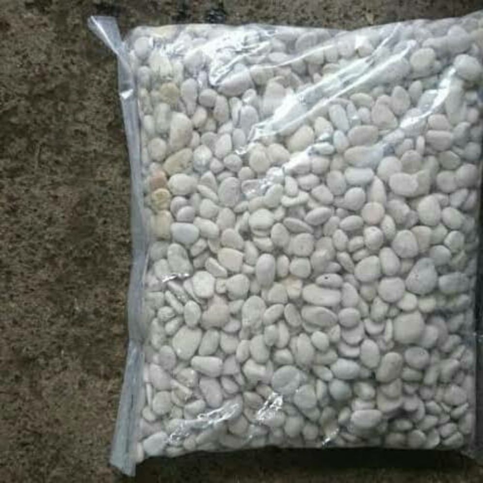 batu koral putih kecil hiasan kolam atau tanamn berat 1 kg / batu koral ...