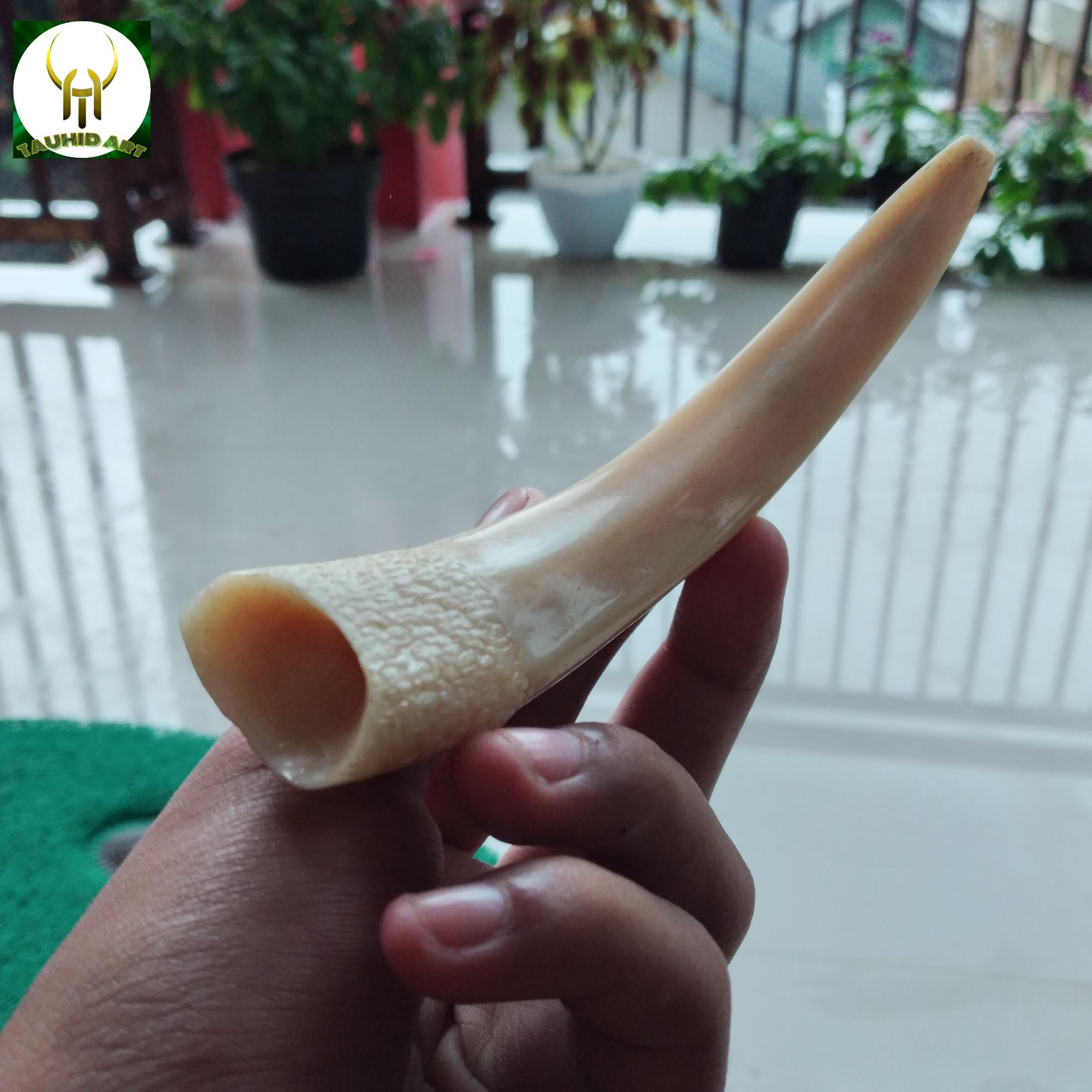 Pipa rokok once taring iga duyung TH 751 | Lazada Indonesia