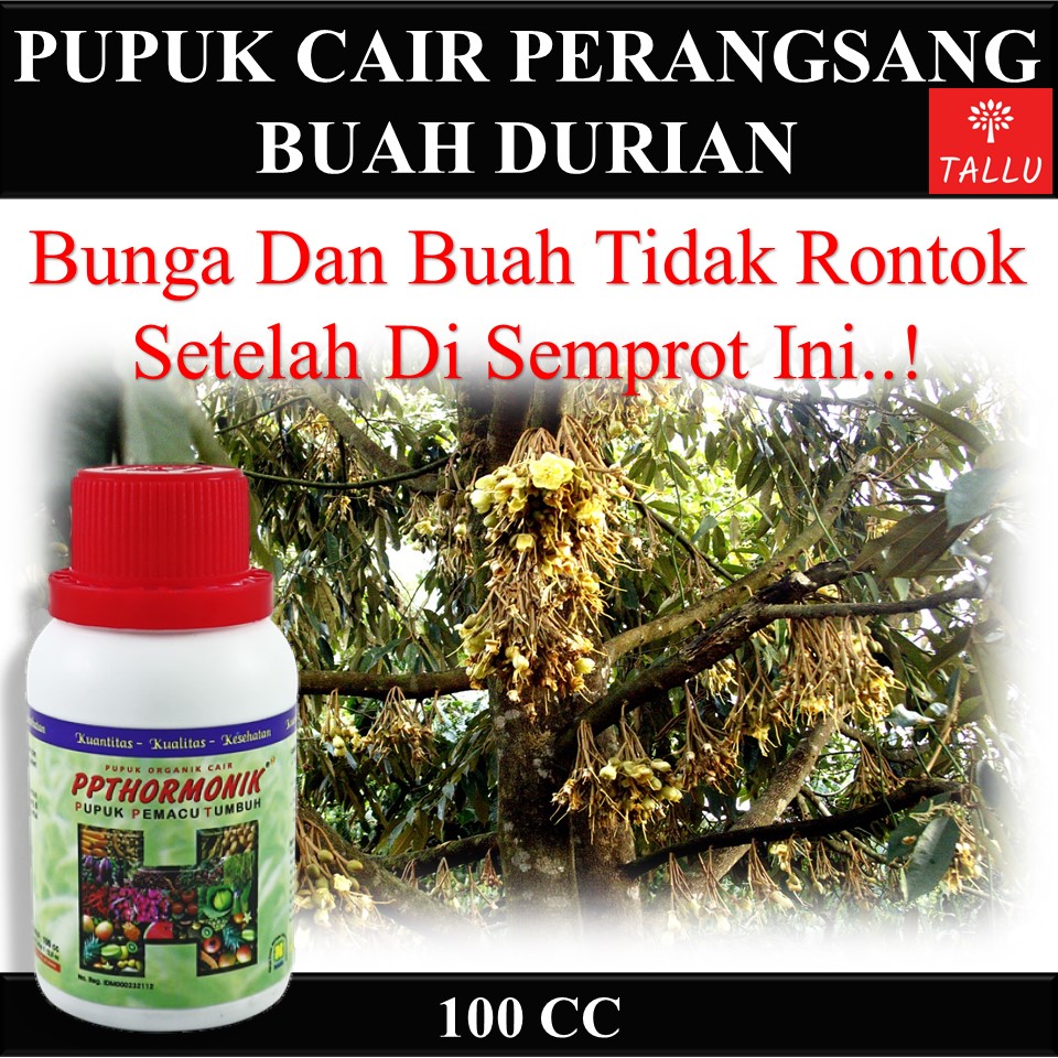 Hormon 100cc Perangsang Bunga Dan Buah Durian / Pupuk Cair Pencegah ...