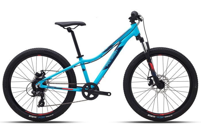Polygon Relic [24 inch] Sepeda MTB Anak | Lazada Indonesia