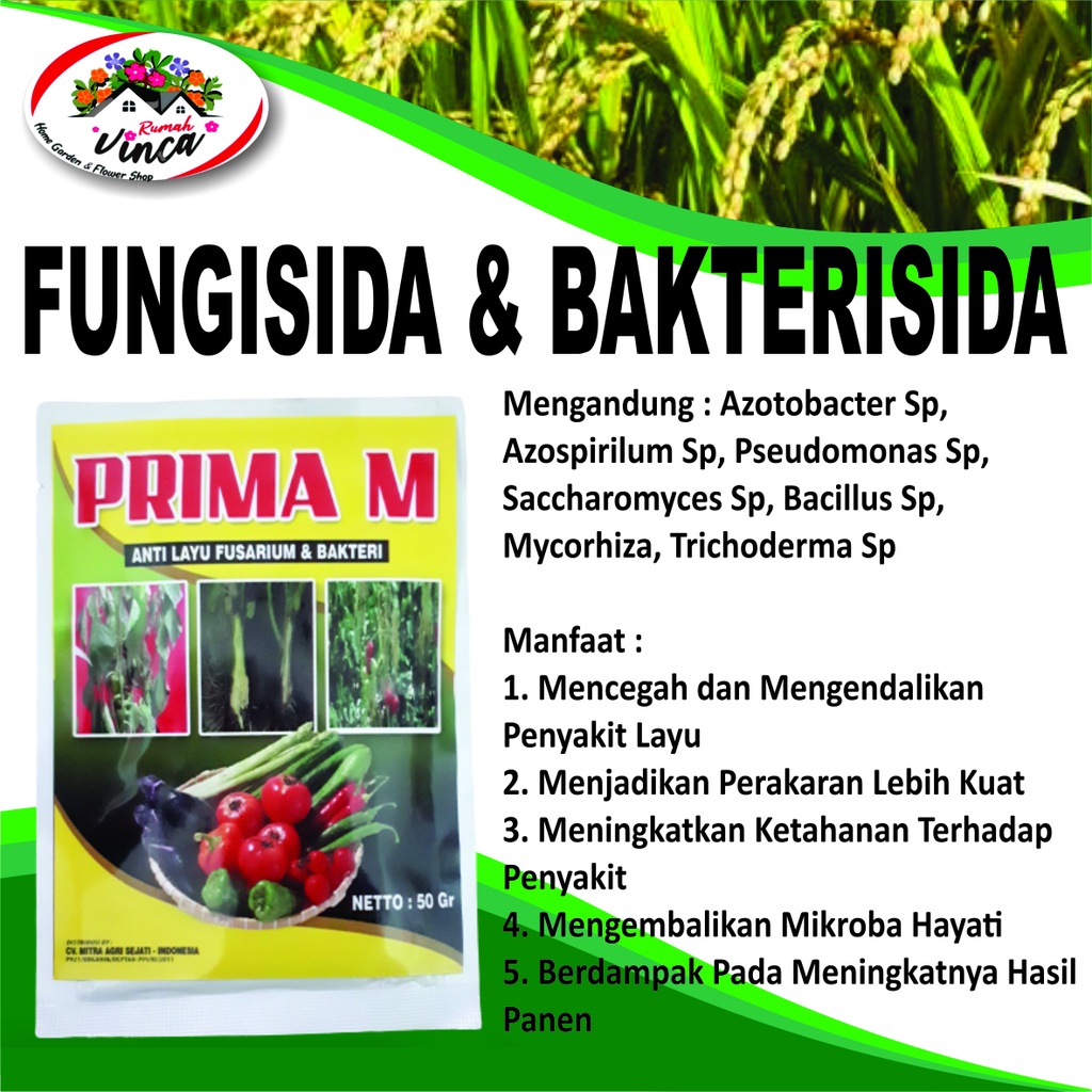 PRIMA M biofungisida dan dekomposer untuk Sterilisasi Tanah | Lazada ...