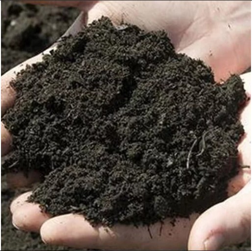 Pupuk Organik kompos Kascing bekas cacing | Lazada Indonesia