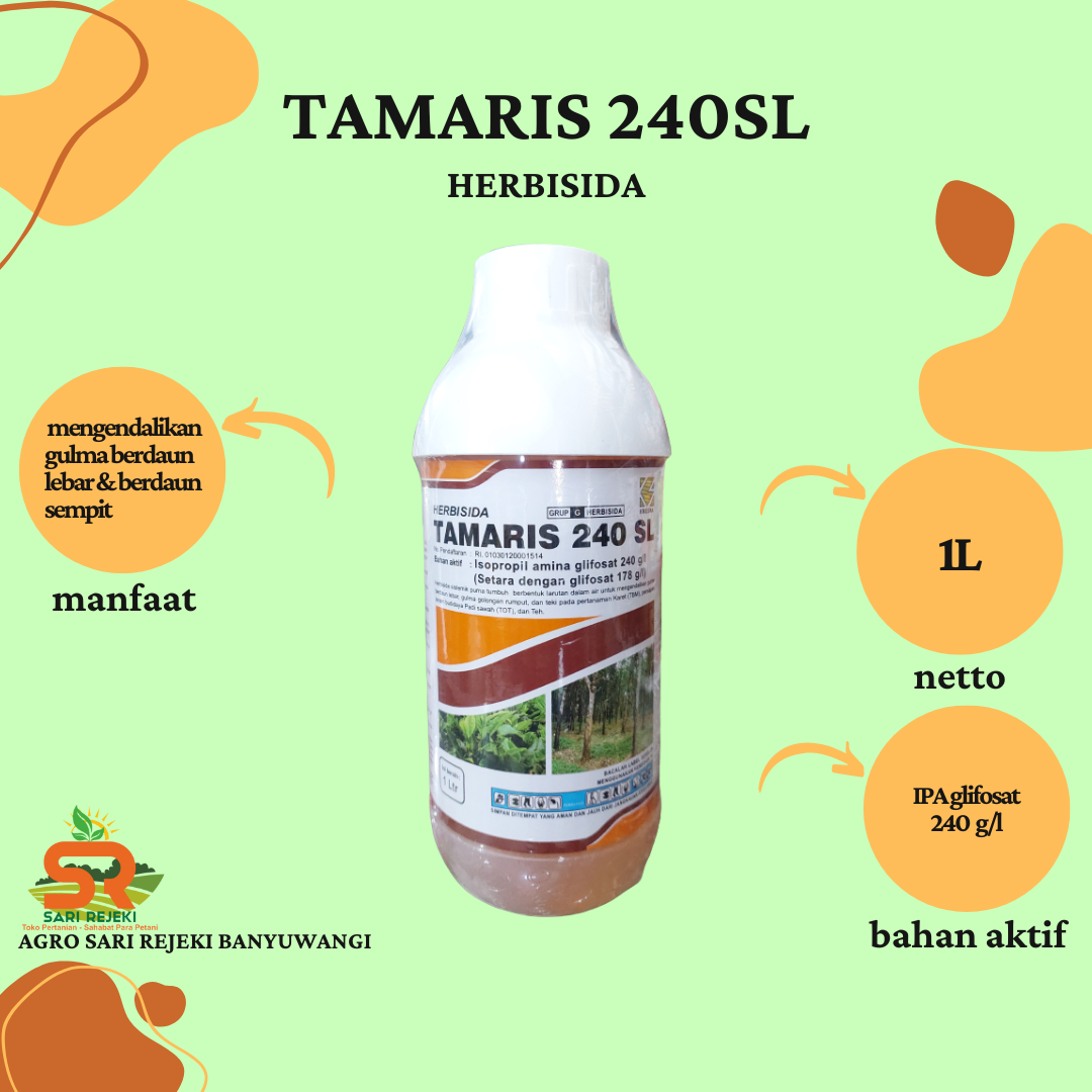 TAMARIS 240SL 1L HERBISIDA SISTEMIK | Lazada Indonesia