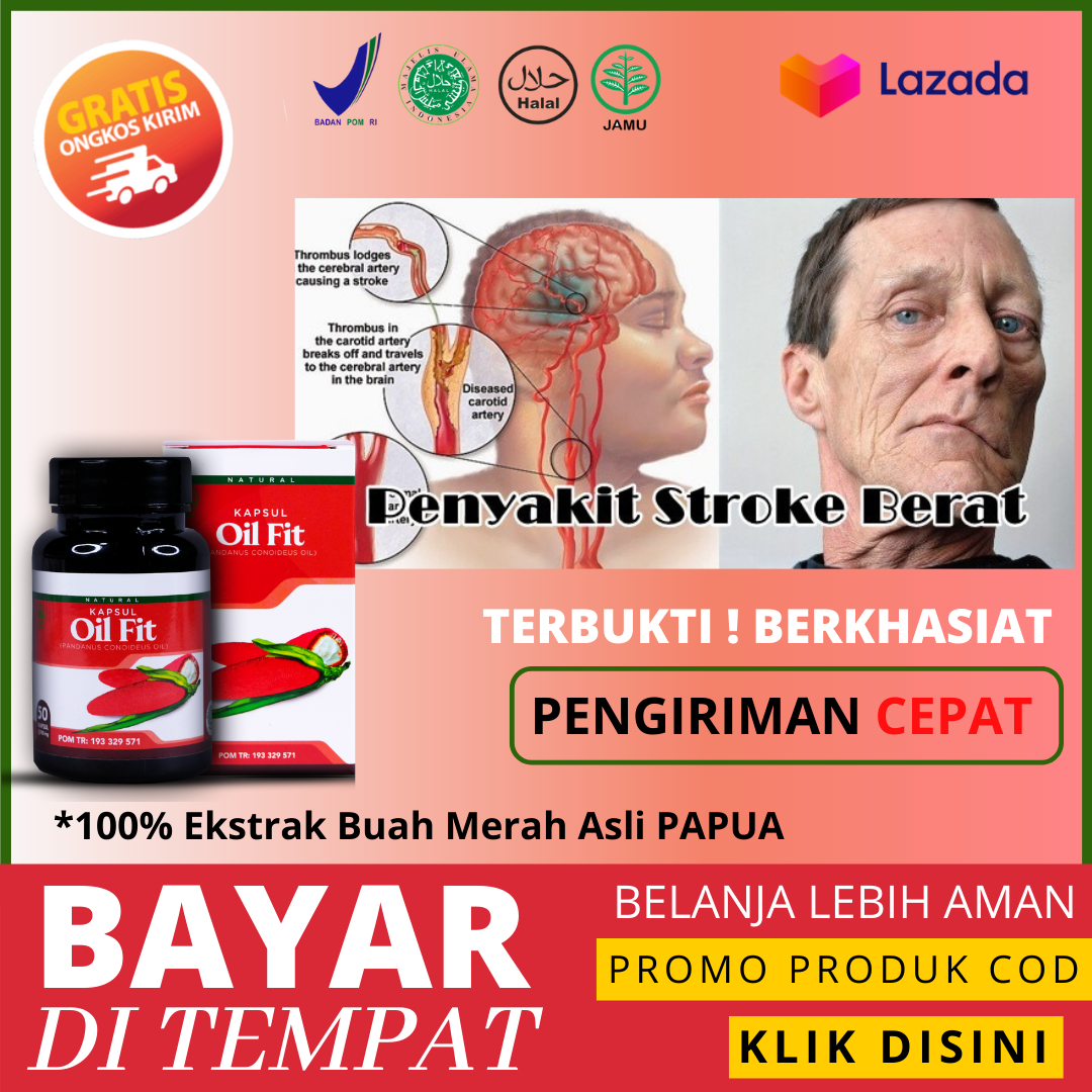 Obat Stroke HERBAL - Obat Herbal Untuk Penyakit Stroke - Obat Struk ...