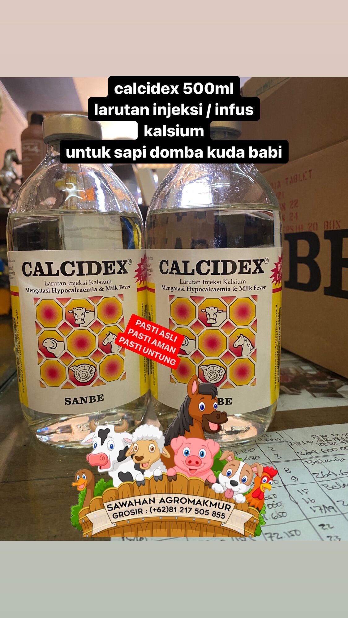 calcidex 500ml larutan injeksi infus kalsium untuk sapi perah domba ...