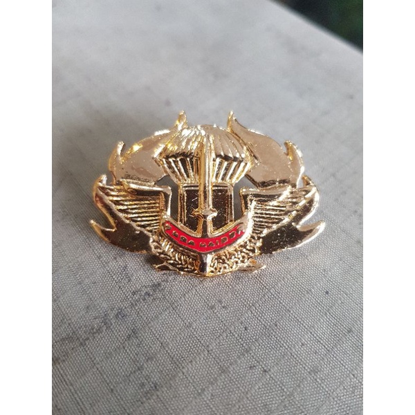 BRIVET WING PDH PARA RAIDER DRIVER WATER CANNON | Lazada Indonesia