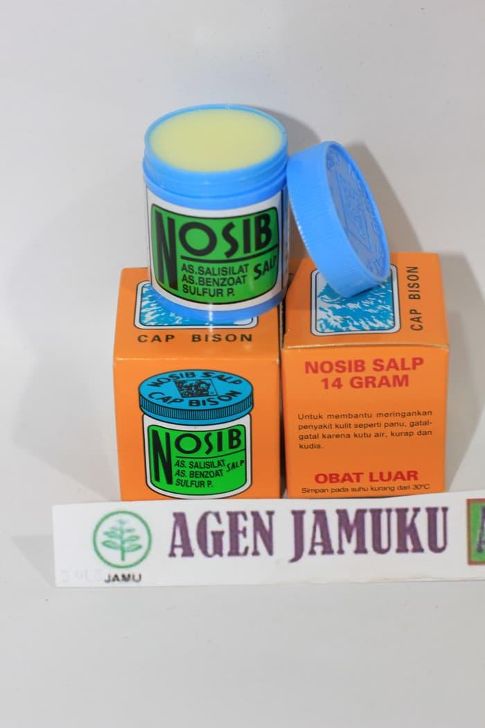 SALEP NOSIB 14 gr CAP BISON - OBAT PENYAKIT KULIT | Lazada Indonesia