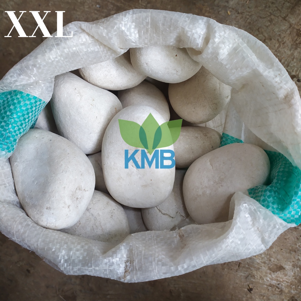 Batu Koral Putih / batu kupang / batu taman karungan Untuk Hiasan 12 kg ...