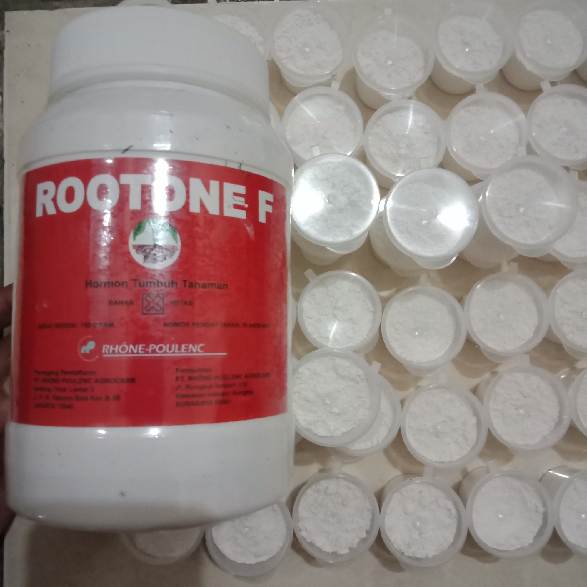 ROOTONE F Original Repack 15gr Hormon Perangsang Akar Tanaman ...