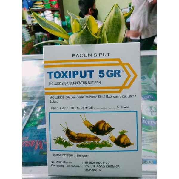 TOXIPUT 250 gram 500 gram racun siput | Lazada Indonesia