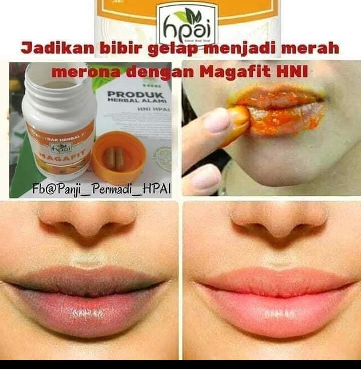 MAGAFIT HNI | Lazada Indonesia