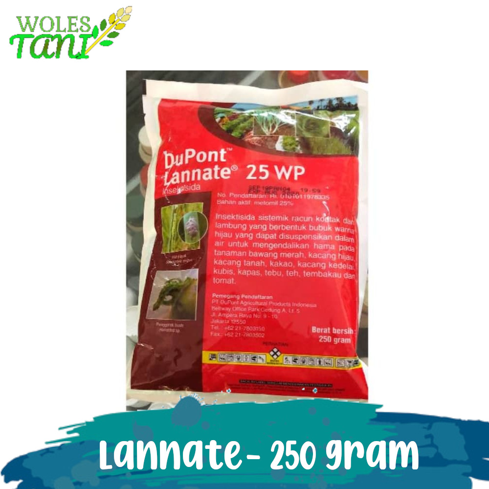 Insektisida Lannate Merah 250 Gram Insektisida Ulat Grayak | Lazada ...