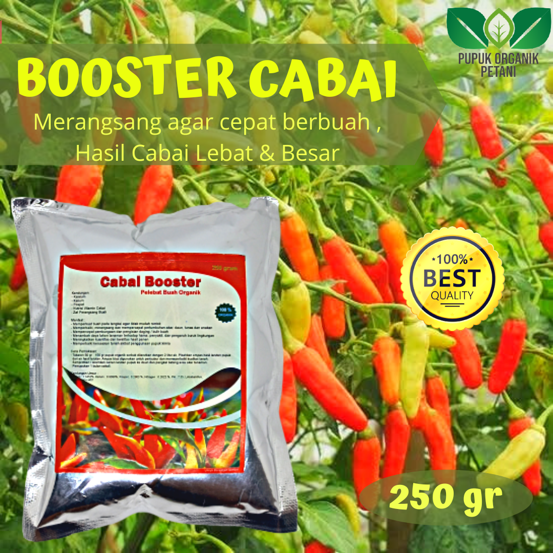 Pupuk organik booster cabai penyubur dan pelebat cabe rawit , merah , hijau ,perangsang pemicu ...