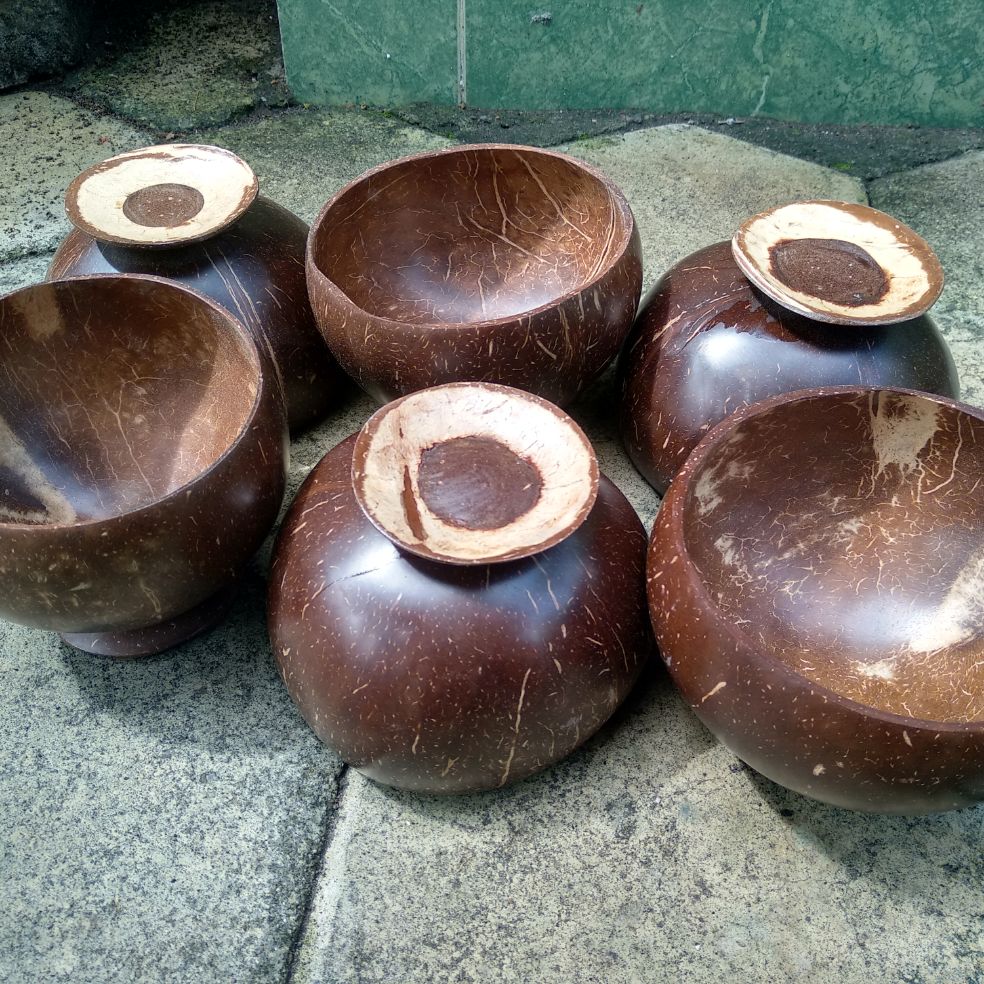 PAKET HEMAT 6 BIJI MANGKOK BAKSO BATOK KELAPA KAKI BATOK GLOSSY ...