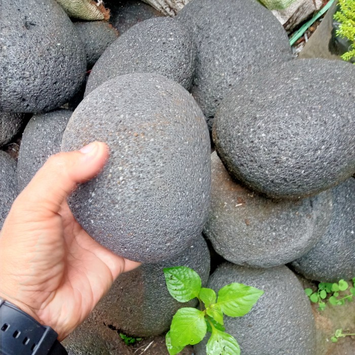 Batu koral batu kali size XL | Lazada Indonesia