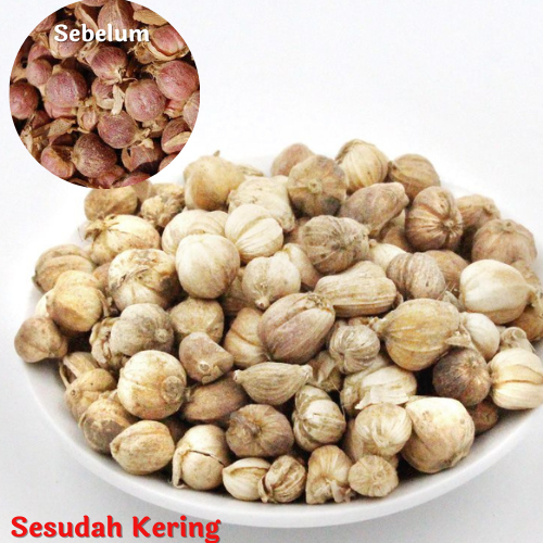 Kapulaga kering 1 Kg Super organik kapulago Kapulaga jawa - Kapulaga ...