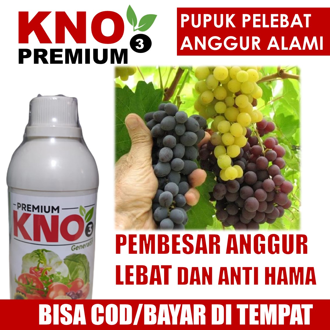 Pupuk Nutrisi Penambah ANGGUR Jadi Lebih Banyak KNO3 PREMIUM 500 ML ...
