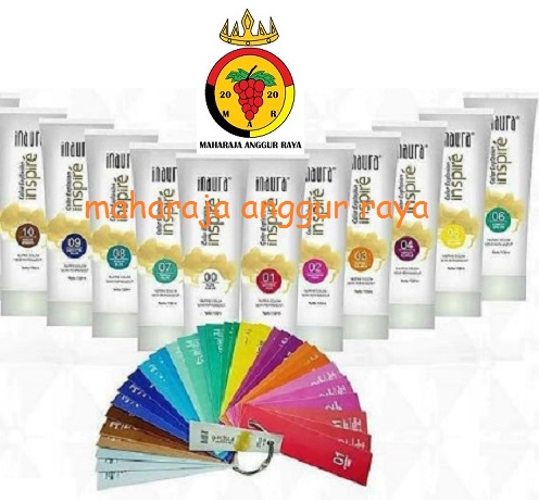 INAURA Inspire Hair Color Explosion 100ml Cat / Warna Rambut | Lazada ...