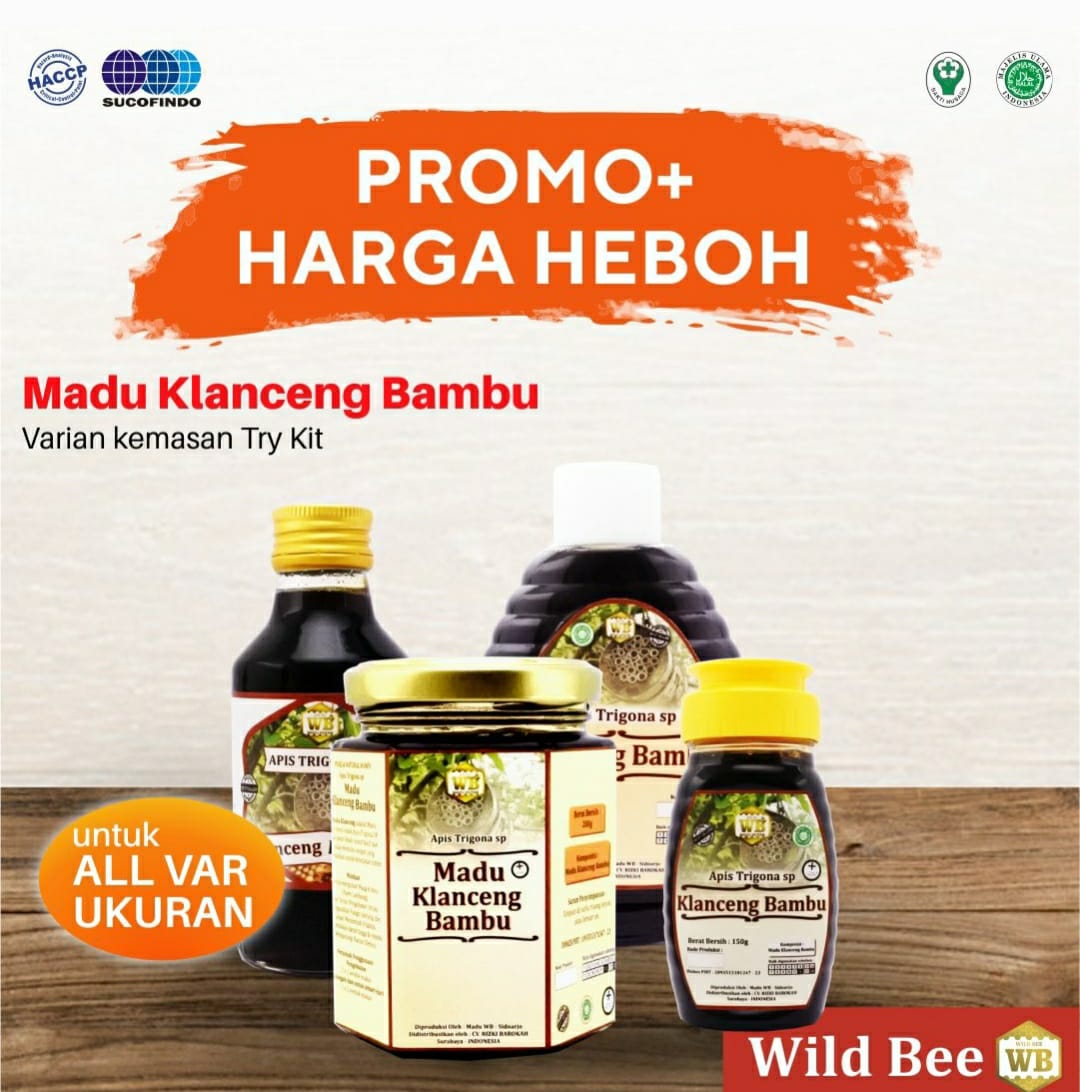 MADU KLANCENG BAMBU ASLI MURNI 100% Lebah Apis Trigona, WILD BEE ...