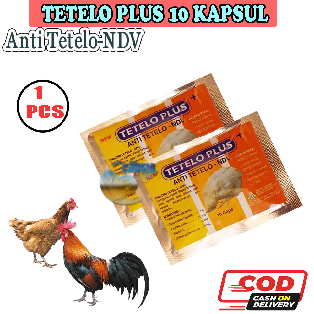 Icantiq Tetelo Plus isi 10 Kapsul Obat Anti Tetelo Ndv Ayam Obat Ayam ...
