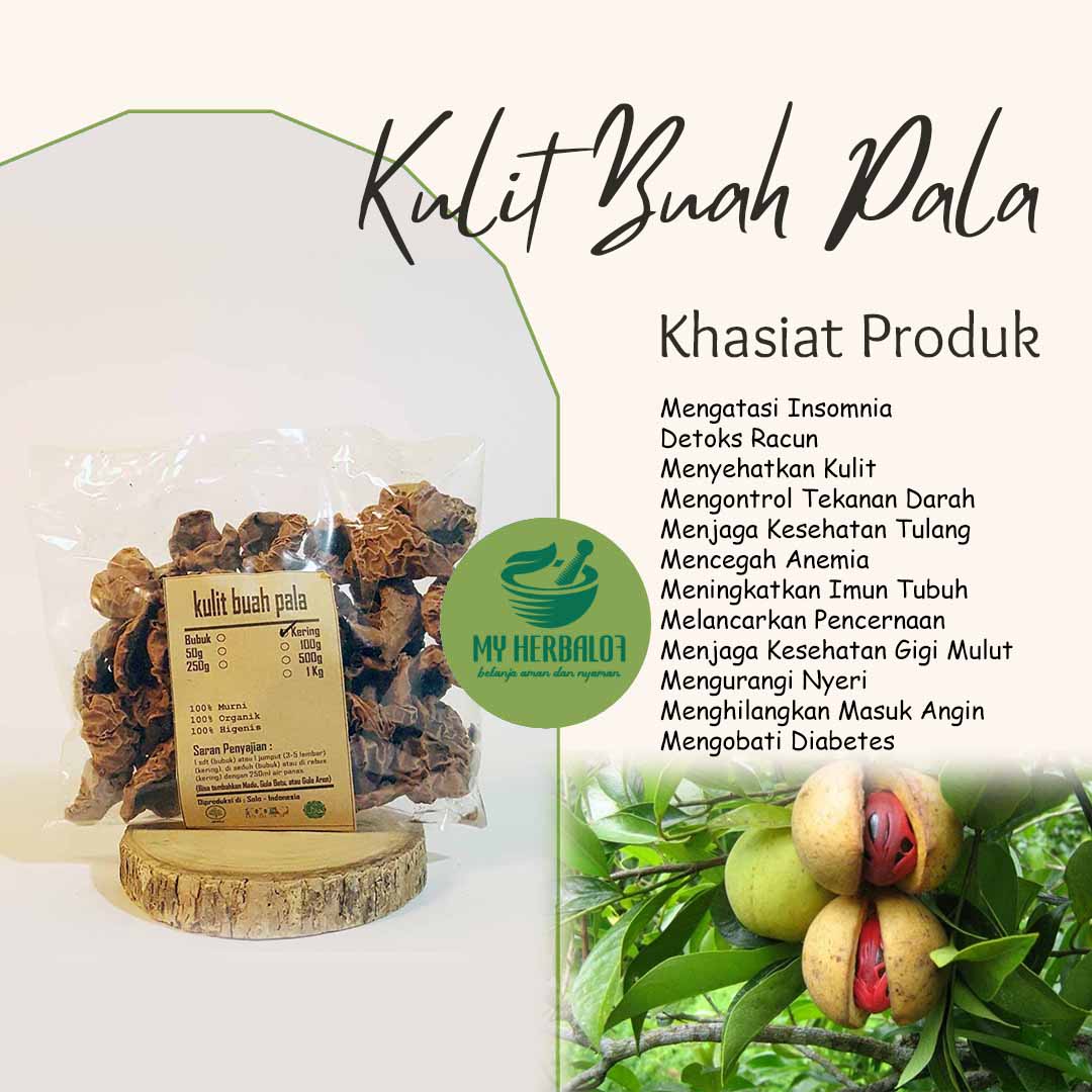 Herbal Kulit Buah Pala Kering / Myristica Fragrans | Lazada Indonesia