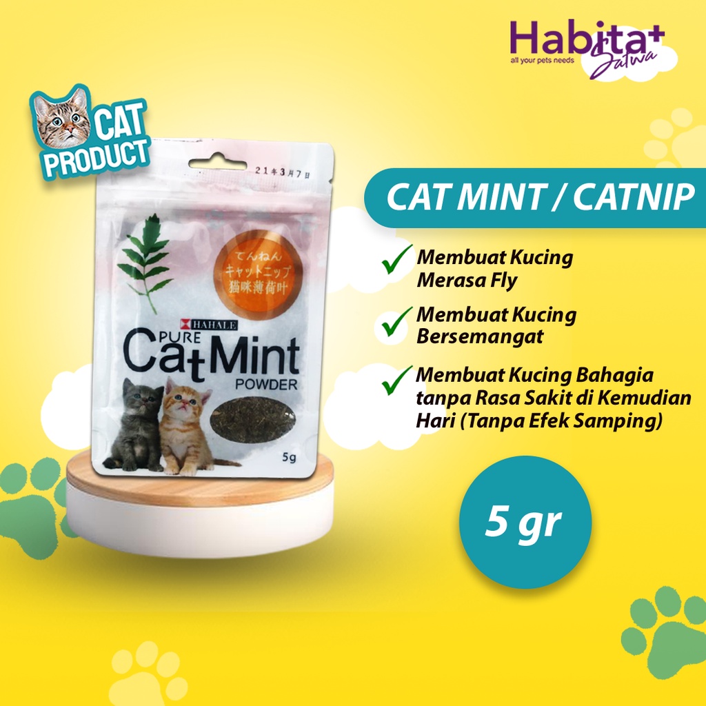 Catnip Camilan Kucing 5g Catmint Menthol Snack Makanan Cat Kitten ...