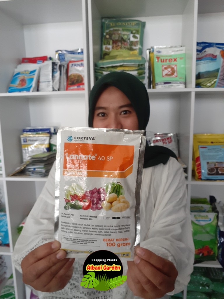 COD Insektisida Lannate 40 SP Corteva 100 Gram | Lazada Indonesia