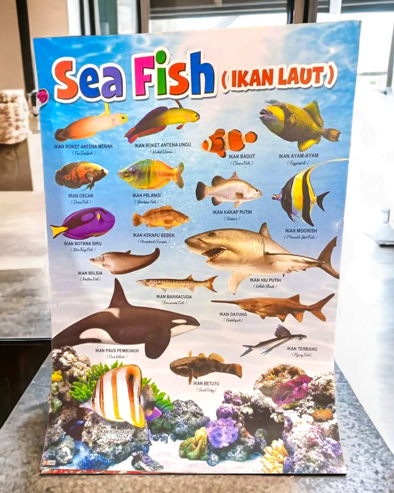 Poster Edukasi Anak Cara Shalat,Cara Wudhu,Abjad,Hijaiyah,Angkadll ...