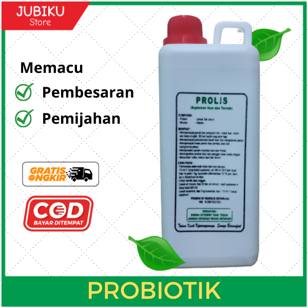 PROBIOTIK Ikan Lele Memacu Pembesaran dan Pemijahan PROLIS | Lazada ...