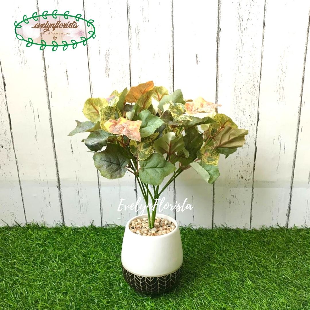 Tanaman Hias Daun Anggur Corak Plastik Bunga Artificial Pot Keramik ...