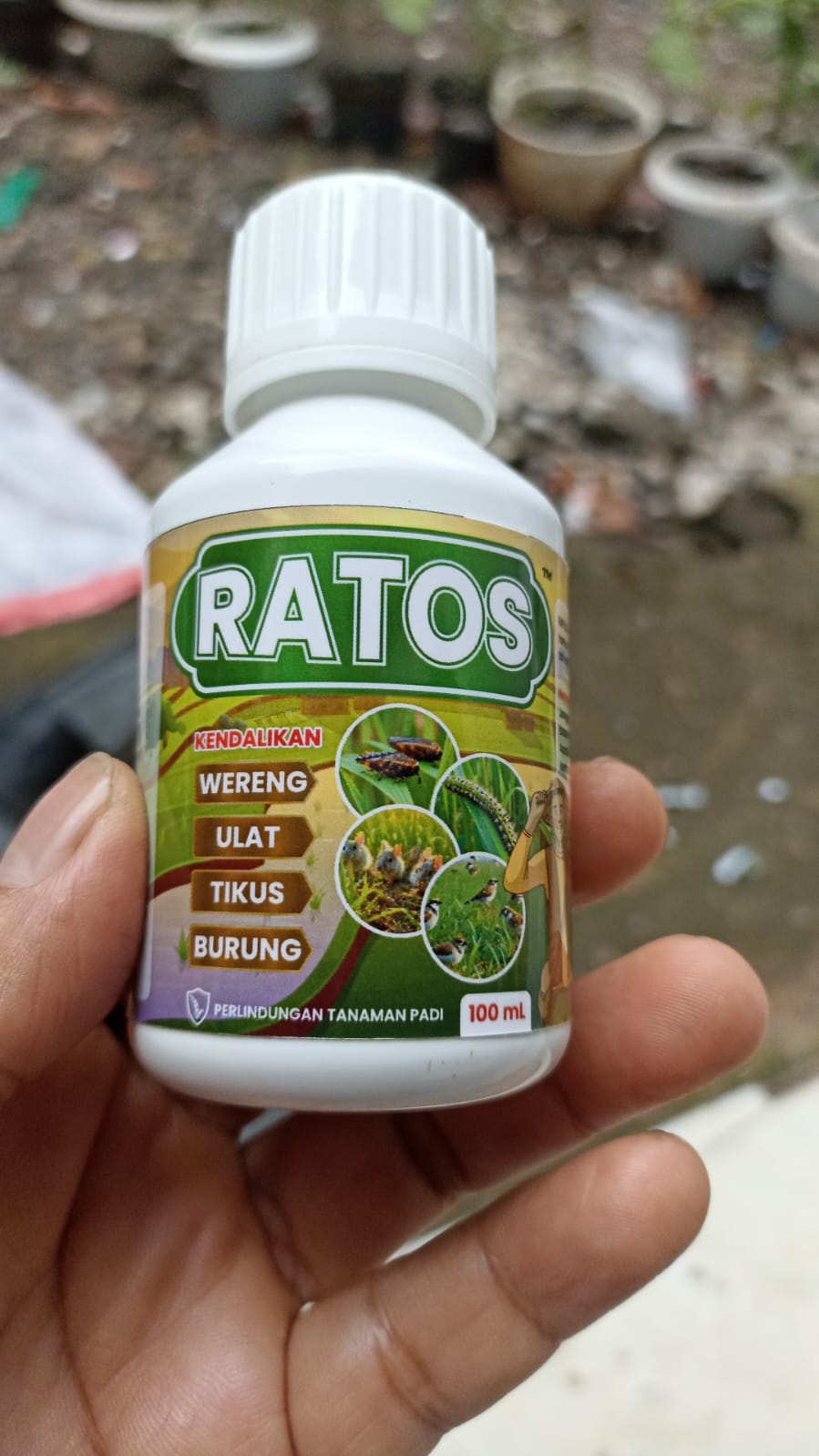 RATOS PESTISIDA RODENTISIDA - Pengendali Hama Tikus, Wereng, Burung ...