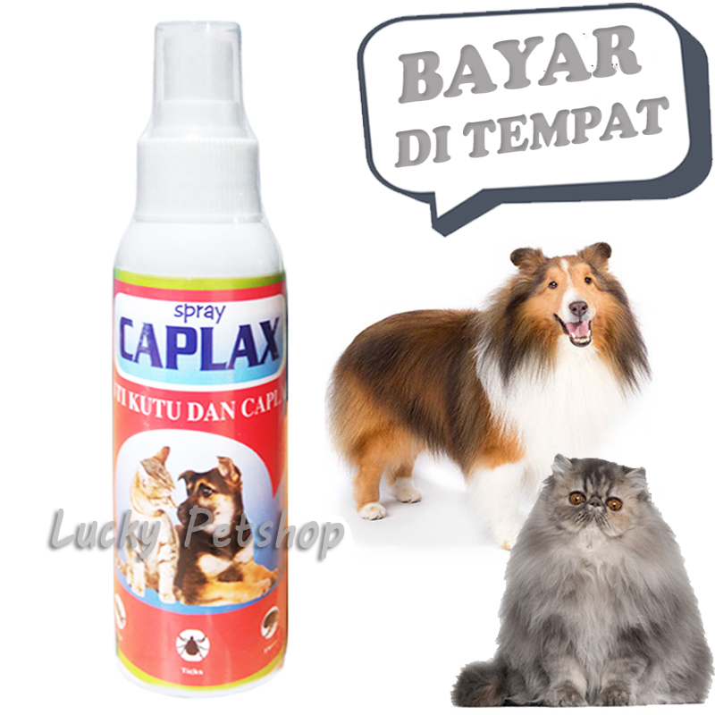 CAPLAK SPREY OBAT PEMBASMI KUTU KUCING CAPLAX ANJING | Lazada Indonesia