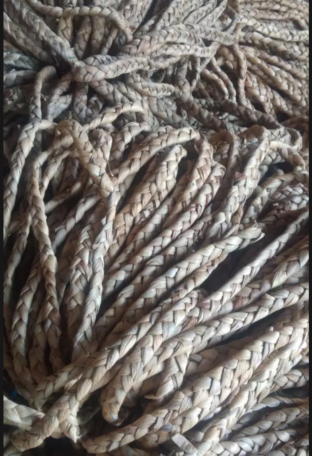 Tali eceng gondok kepang per 1 meter | Lazada Indonesia