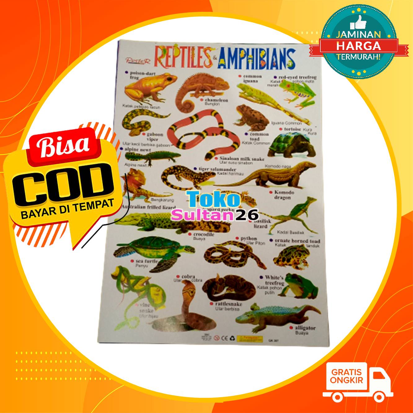 Poster Edukasi Belajar Anak Mengenal Jenis Jenis Hewan Reptil Dan ...