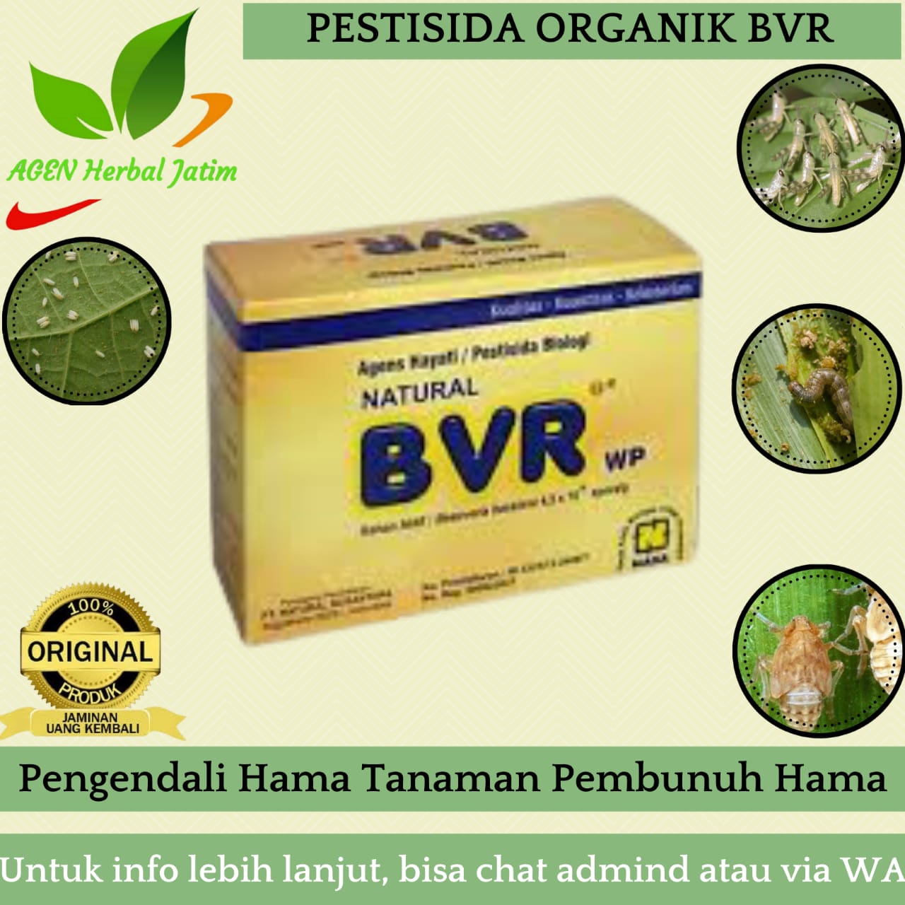 Pestisida Organik BVR Nasa Pestisida Pembasmi Hama Tanaman Pestisida ...