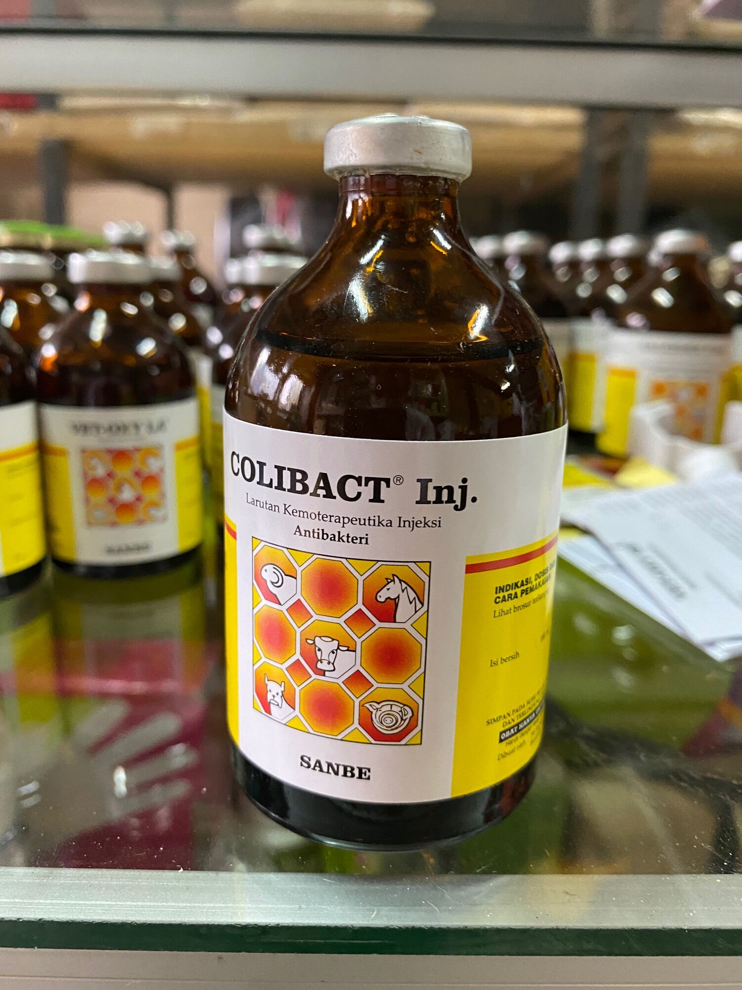 colibact injeksi antibiotik untuk sapi perah kambing domba kuda diare ...