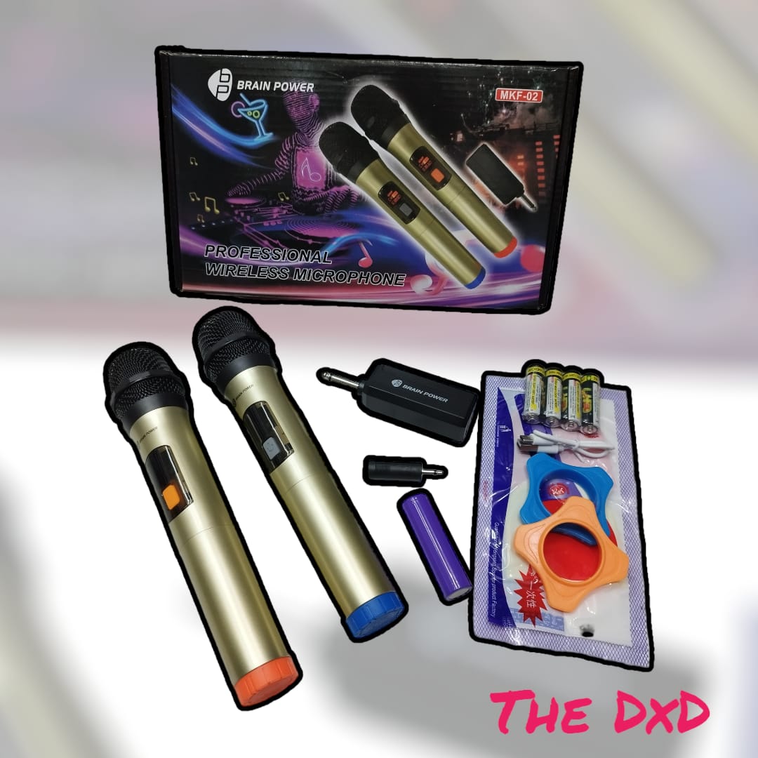 Profesional Wireless Microphone Brain Power Single Mic Double Mic ...