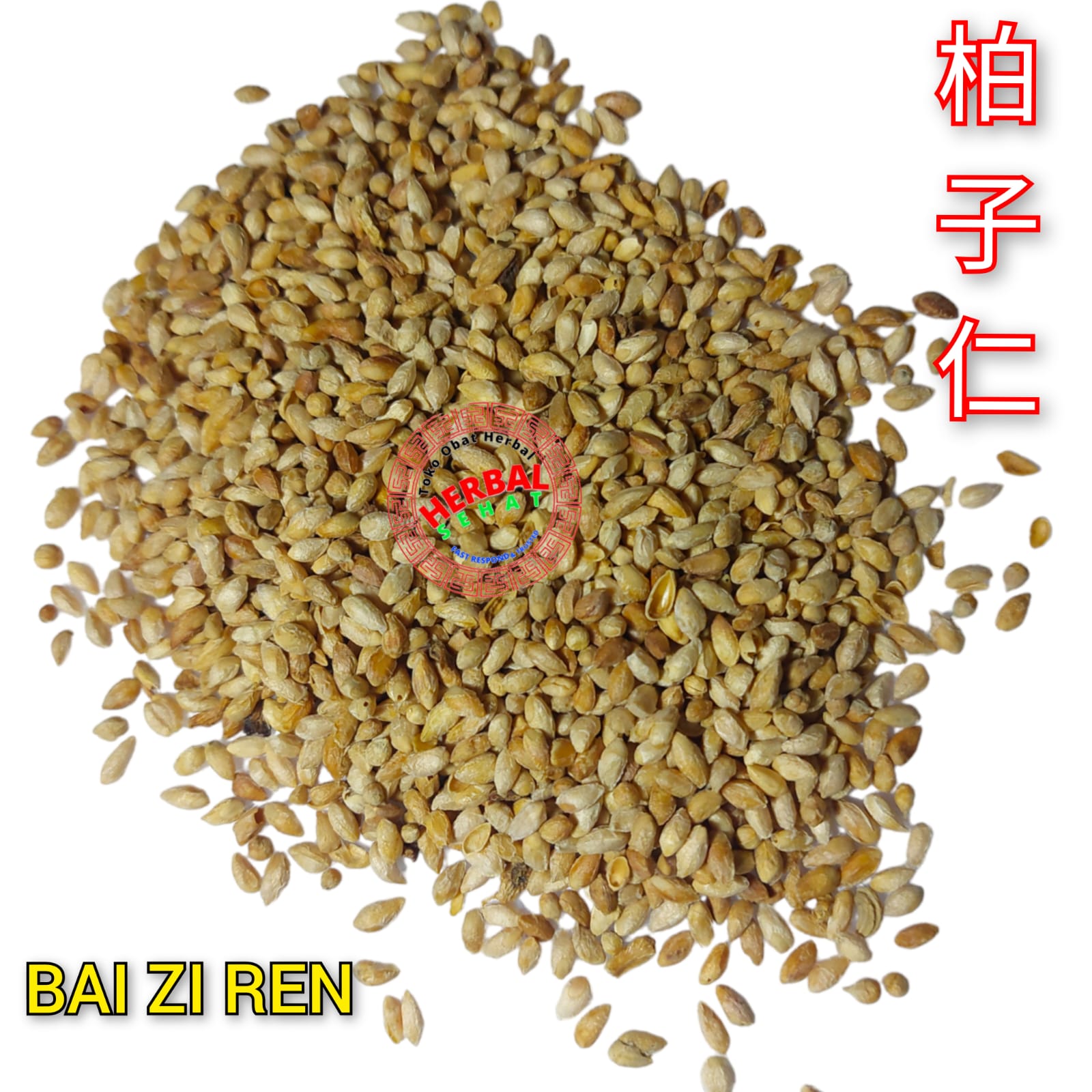 Bai Zi Ren Bo Zi Ren 600gram Semen Platycladi Biota Seed 柏子仁 | Lazada ...