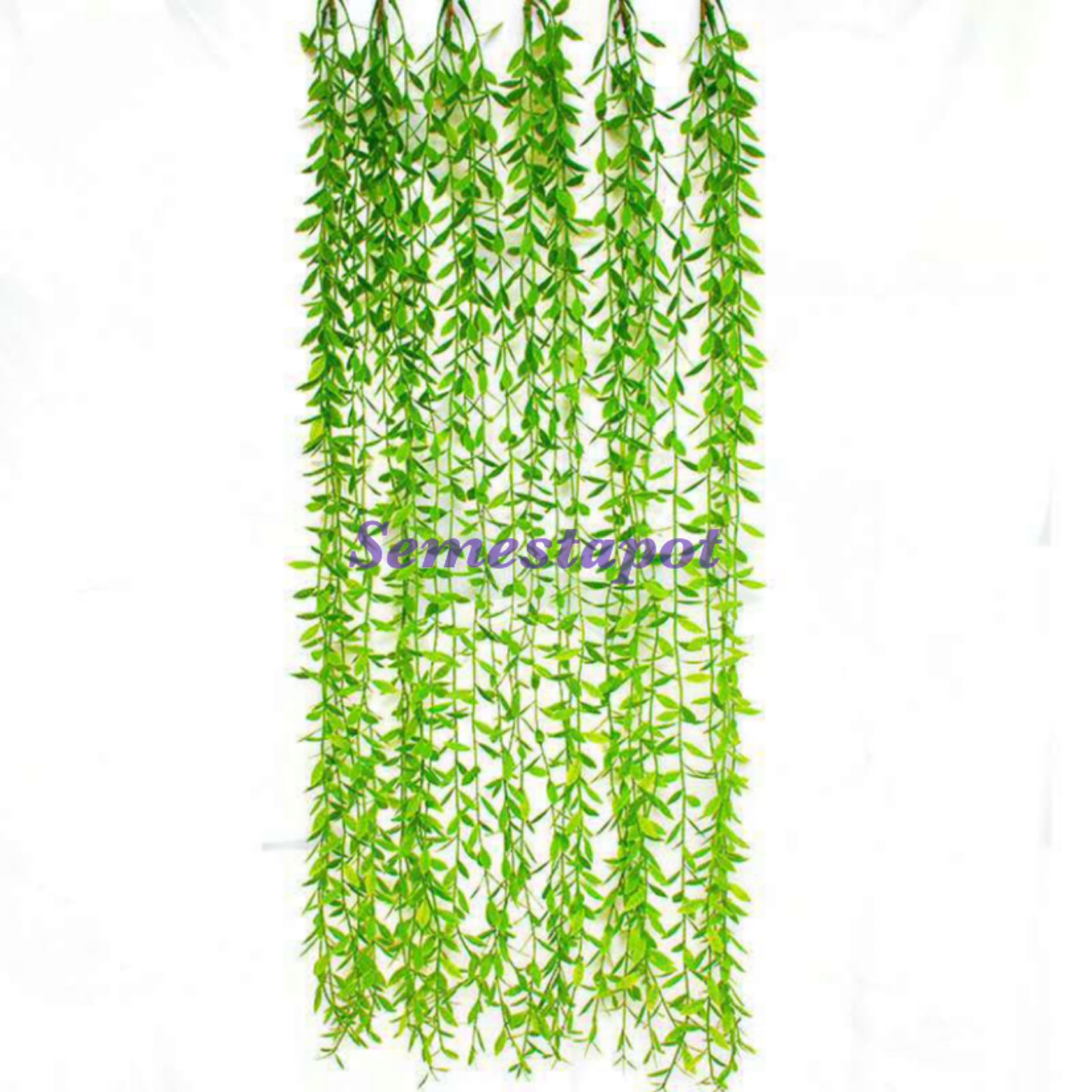 Daun Rambat JUNTAI Kecil Hijau Plastik Artifisial Dekorasi | Lazada ...