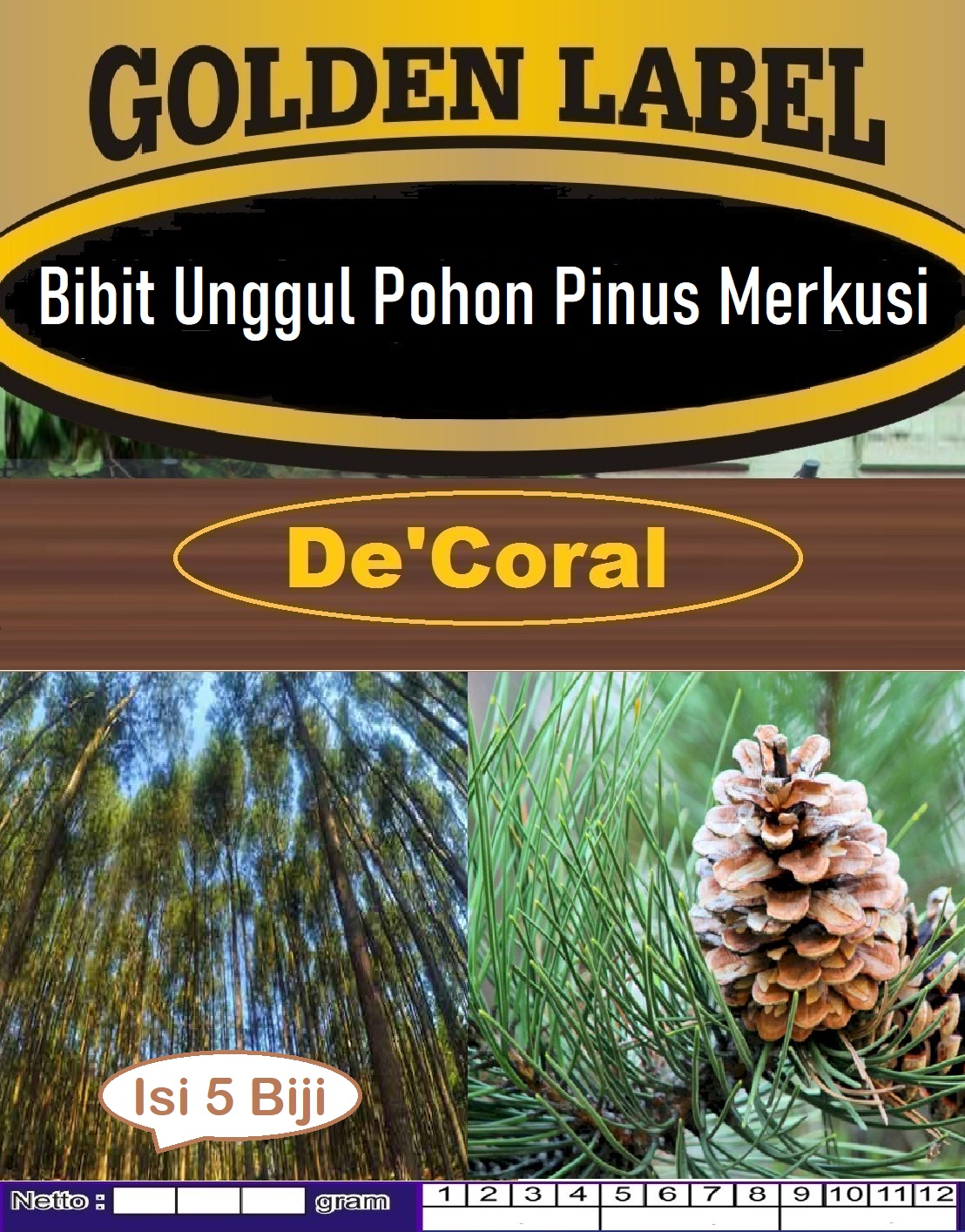 Bibit Unggul Pohon Pinus Merkusi | Biji Benih Pohon Pinus Merkusi |Biji ...