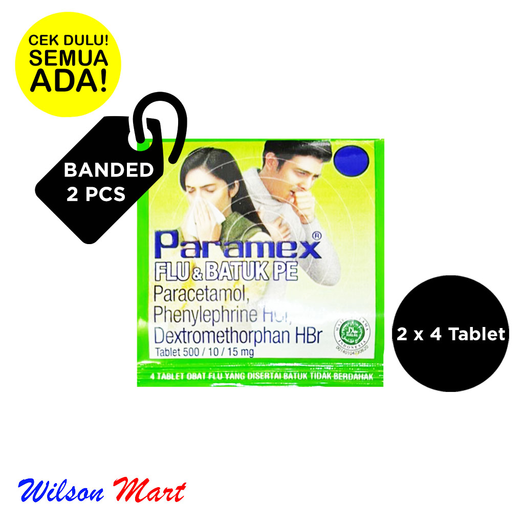 PARAMEX OBAT FLU DAN BATUK PE ISI 4 TABLET BANDED 2 PCS | Lazada Indonesia