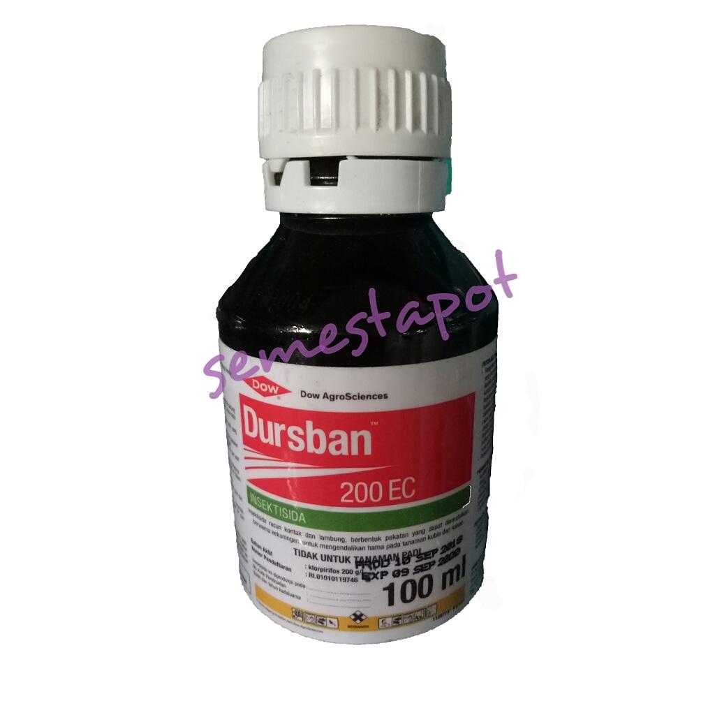 Insektisida Dursban 100 ml untuk Hama | Lazada Indonesia