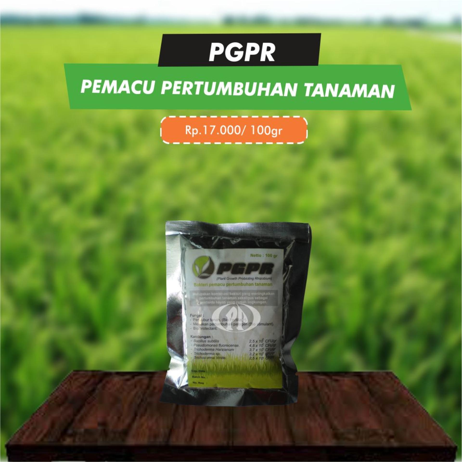 Pemacu pertumbuhan Tanaman PGPR isi 100gr | Lazada Indonesia