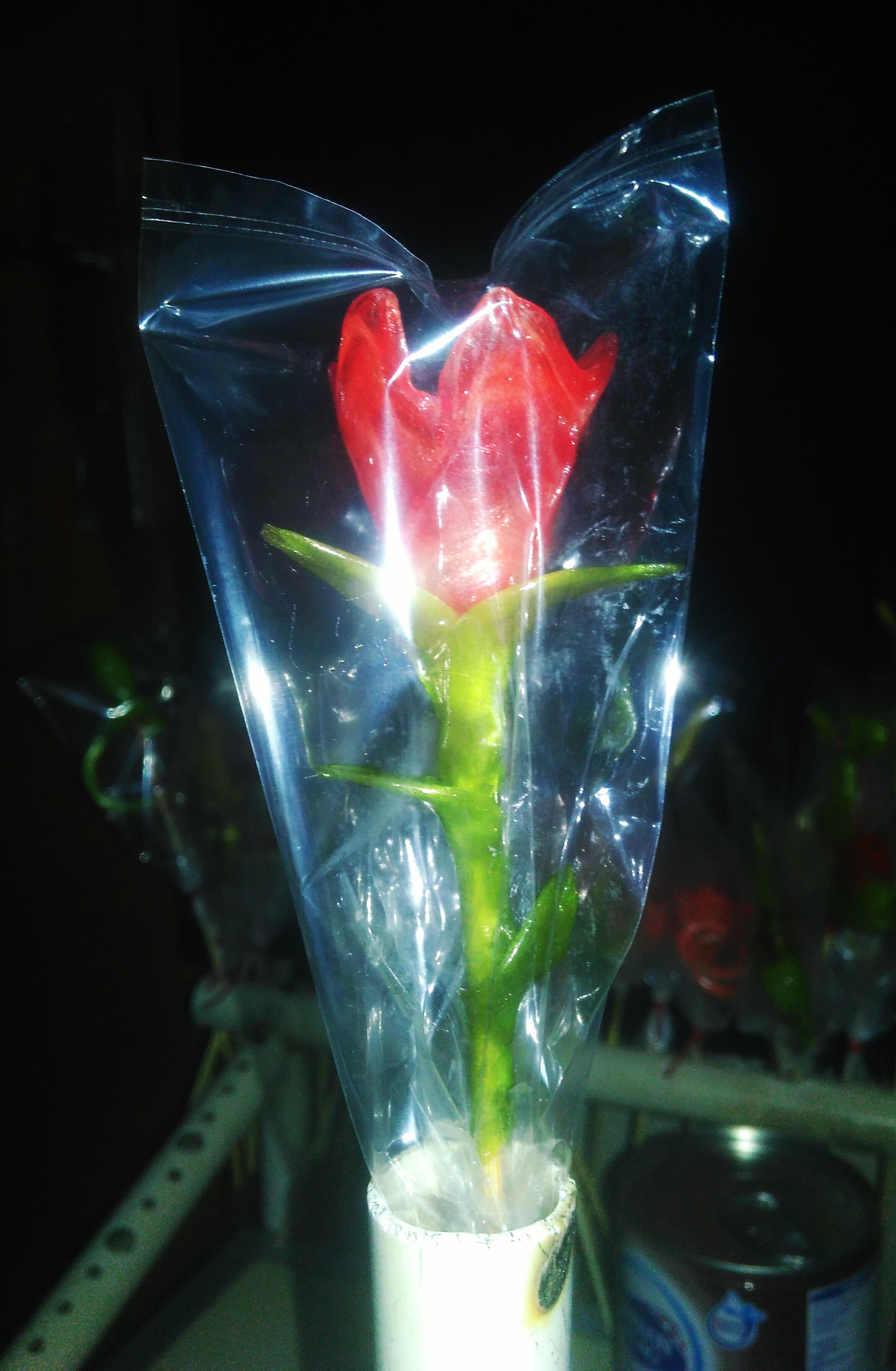 PERMEN GULALI VIRAL PERMEN JADUL PERMEN KOREA PERMEN UNIK PERMEN LEZEN ...